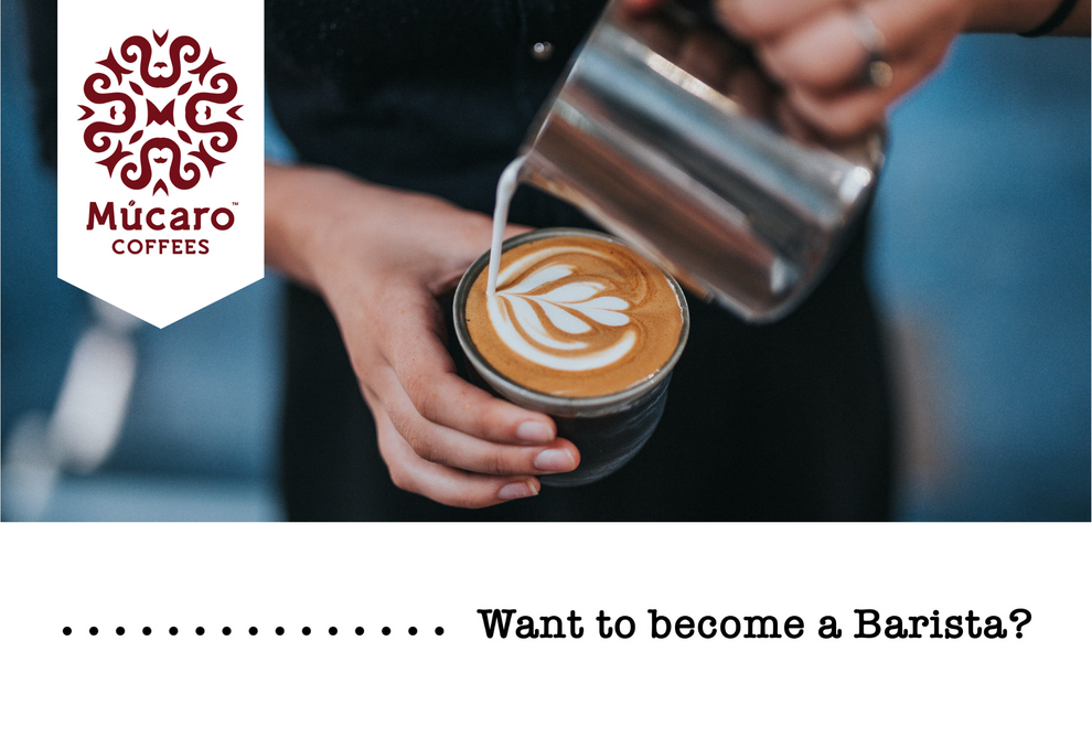 Foundation Barista Class 5 Hour Training – Mucaro Coffees